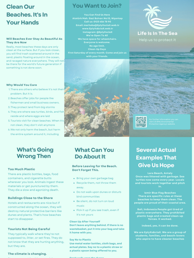Beach Protection Brochure | PDF | Beach