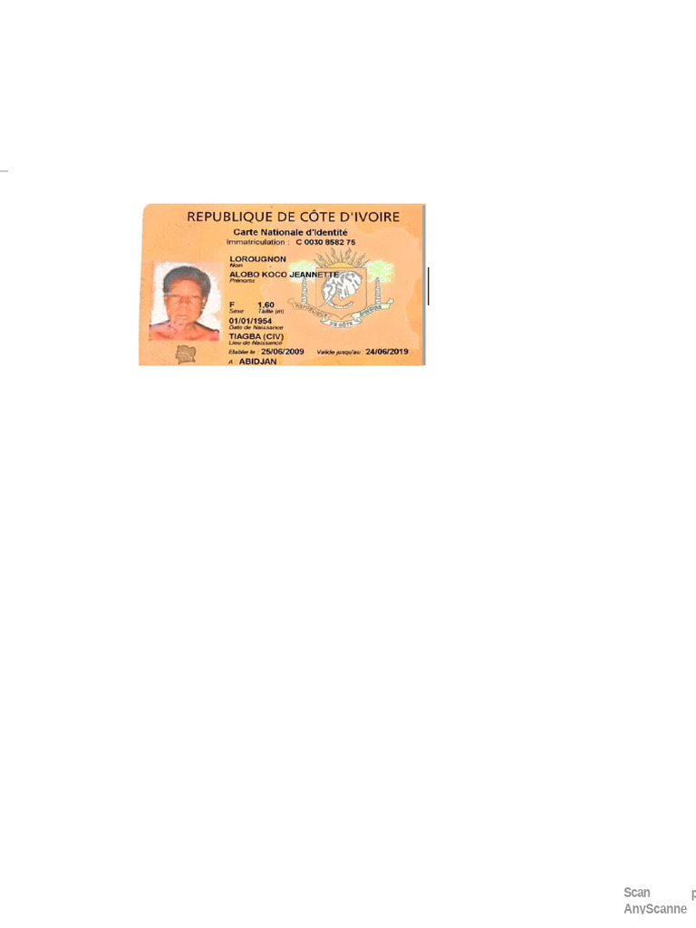 Scan P Anyscanne | PDF