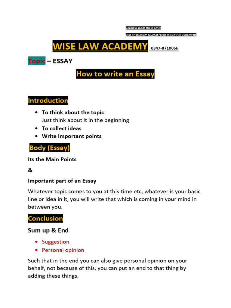 How to Write an Essay Guide | PDF