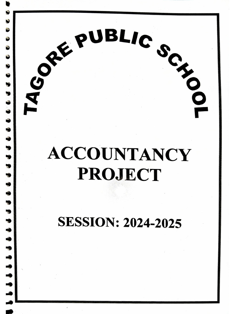 Accountancy Project | PDF
