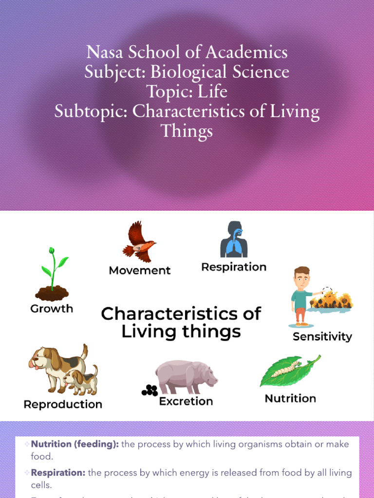 Characteristics of Living Things | PDF | Egg | Leaf