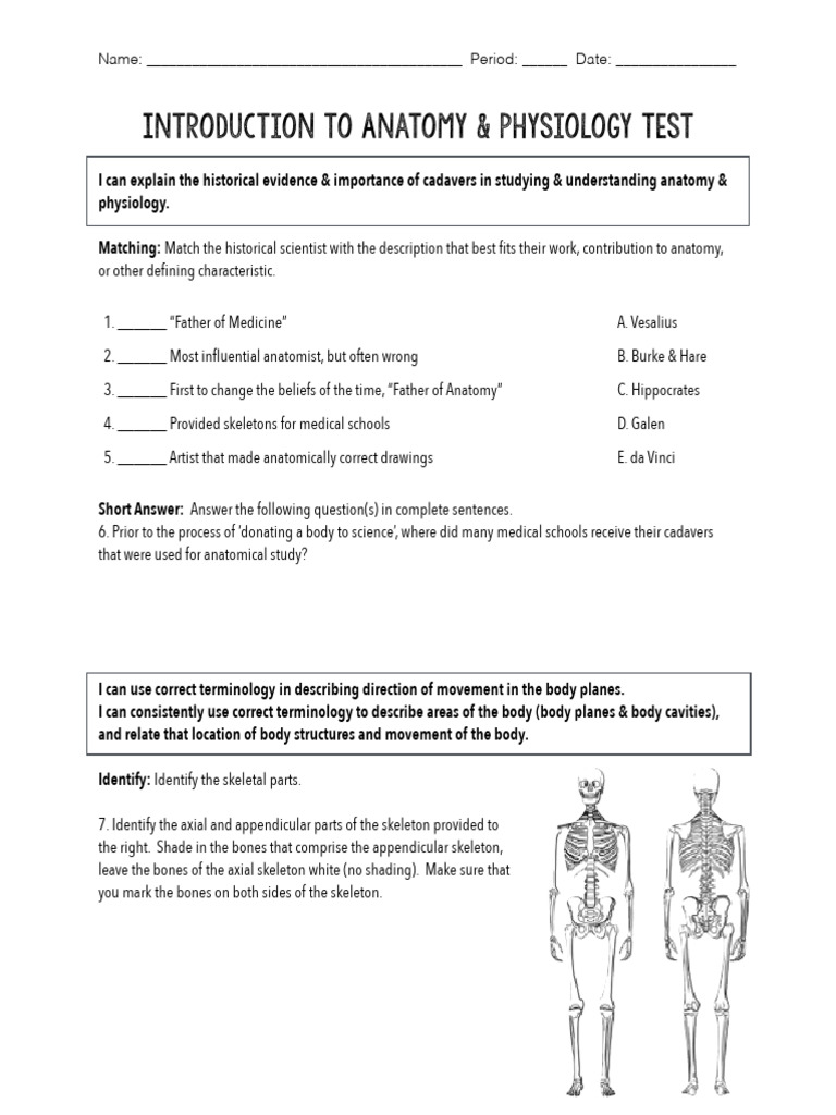 Anatomy & Physiology Test Overview | PDF | Anatomical Terms Of Location ...