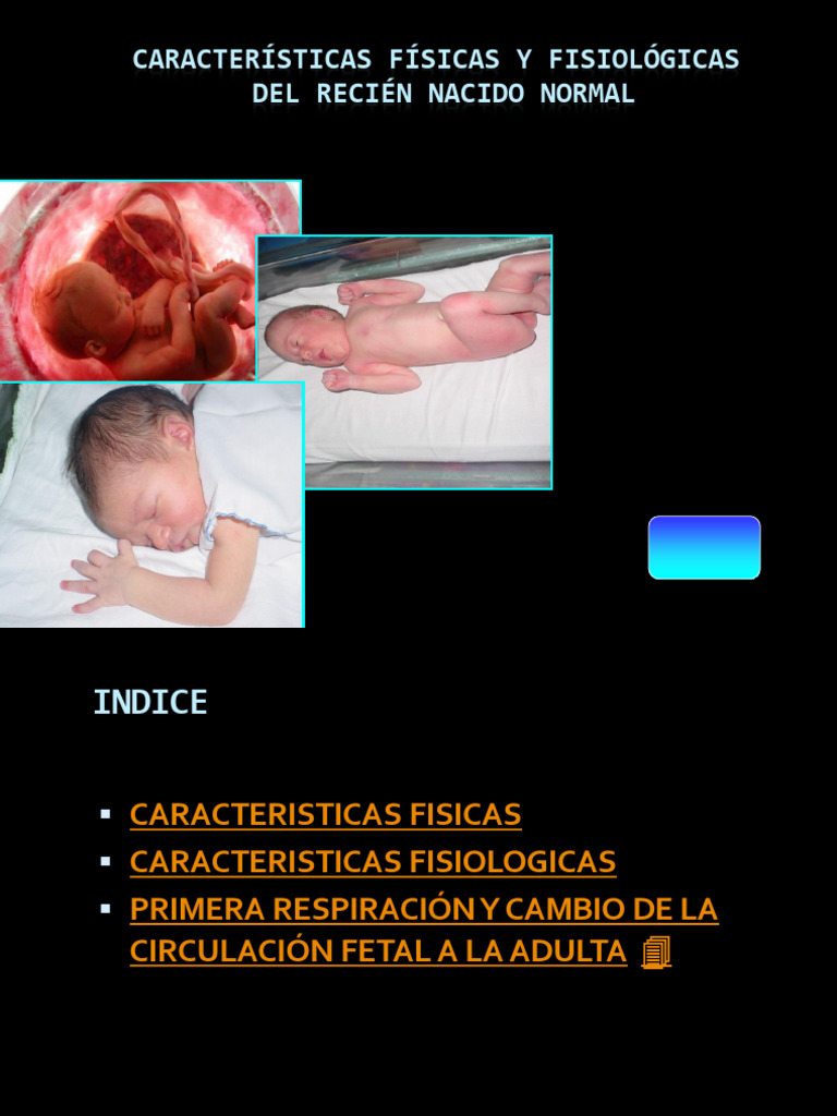 Caracteristicas F-Sicas y Fisiol-Gicas 2023 | PDF | Anatomía | Anatomia animal