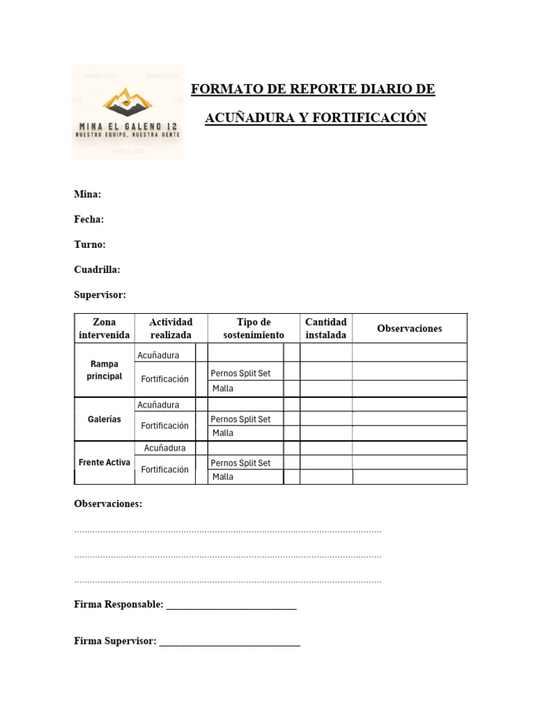 Formato de Reporte Diario de Acuñadura | PDF