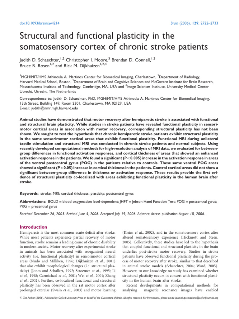 Stroke-Induced Plasticity in Cortex | PDF | Neuroplasticity | Cerebral ...