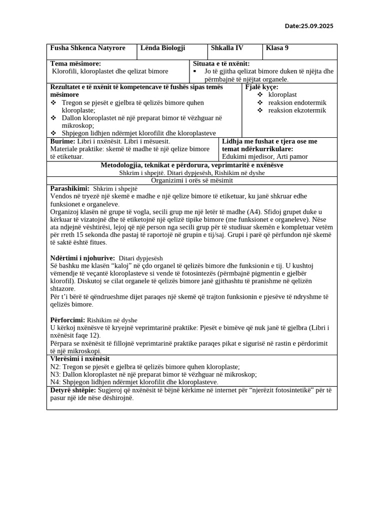 Klorofili, Kloroplastet Dhe Qelizat Biologjia 9 | PDF