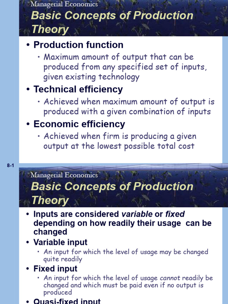 Chapter 8.Ppt | PDF | Marginal Cost | Production Function