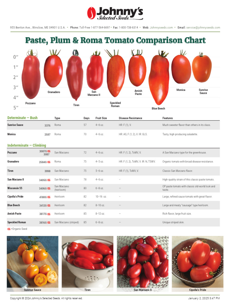 Tomato Variety Comparison Chart | PDF | Tomato | Edible Fruits