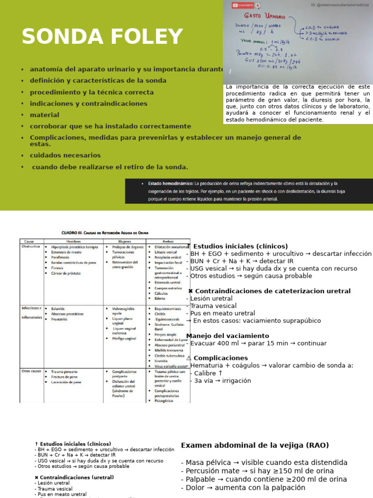 Sonda Foley | PDF | Urología | Sistema urinario