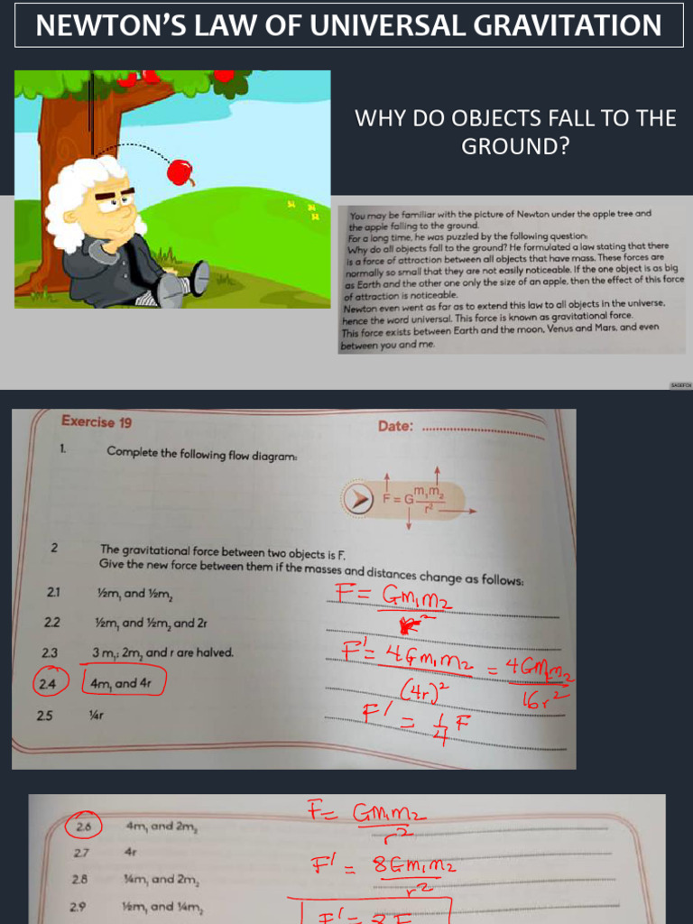 Gravitational Fields SA | PDF