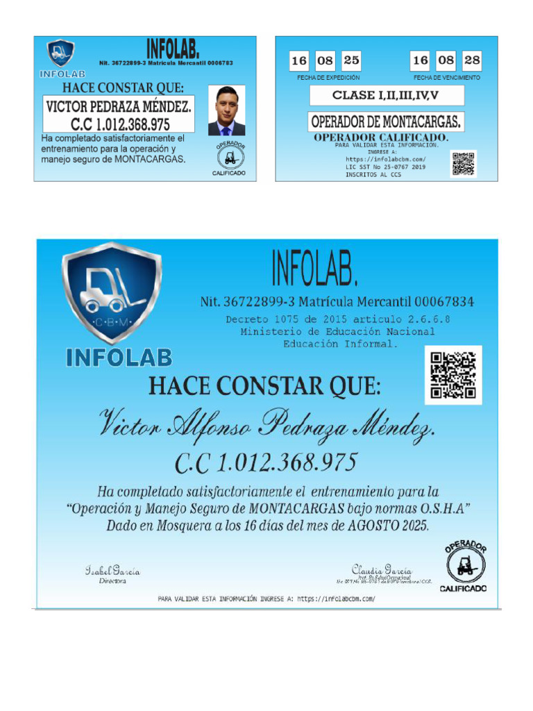 Carnet y Diploma Operador M Victor Pedraza | PDF