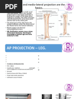 X-Ray Positioning for Toes and Sesamoids | PDF
