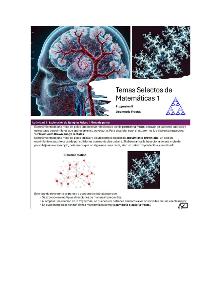Progresion 5 Fractales | PDF
