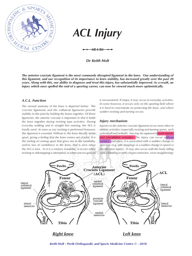 Understanding ACL Injuries and Recovery | PDF | Knee | Musculoskeletal ...