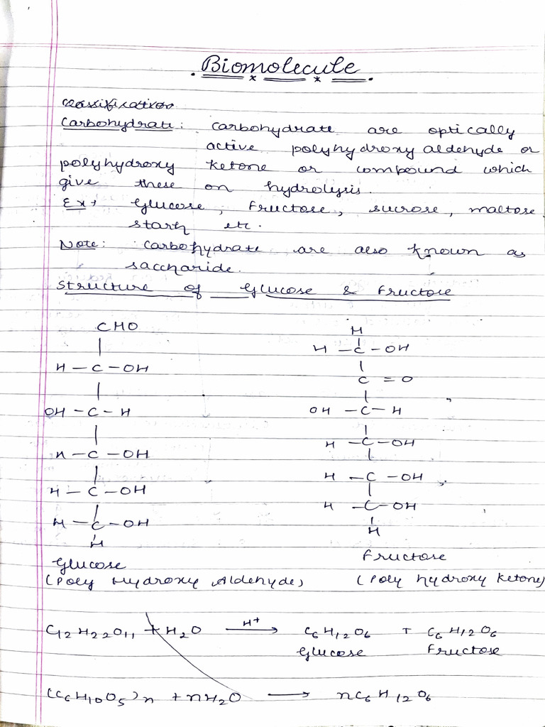 Carbohydrate Structure and Function | PDF