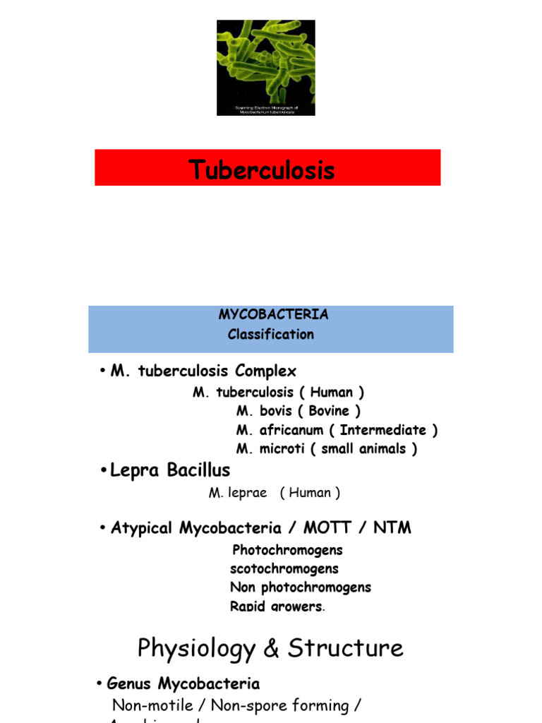 Tuberculosis Chronic Granulomatous | PDF | Tuberculosis | Macrophage