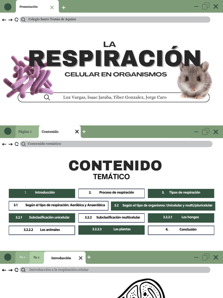 Tipos y Procesos de Respiración Celular | PDF | Branquia | Respiración ...