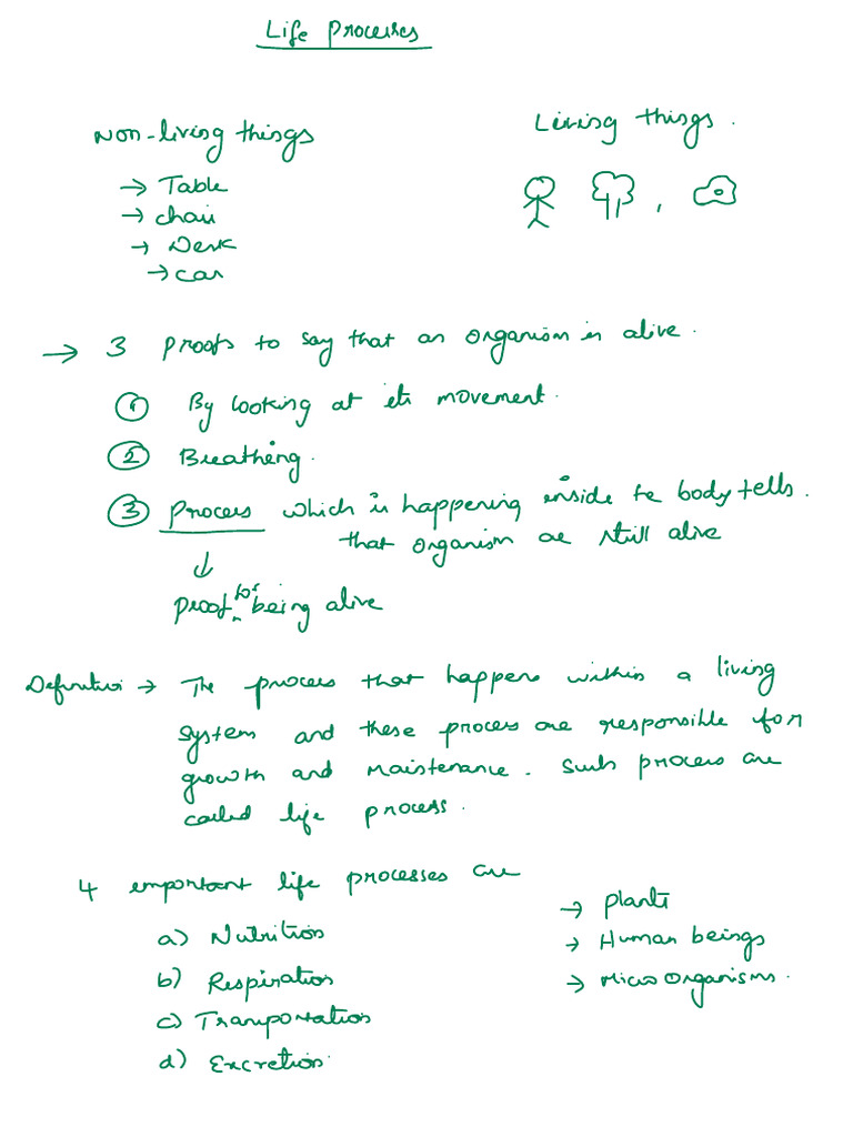 Life Process | PDF