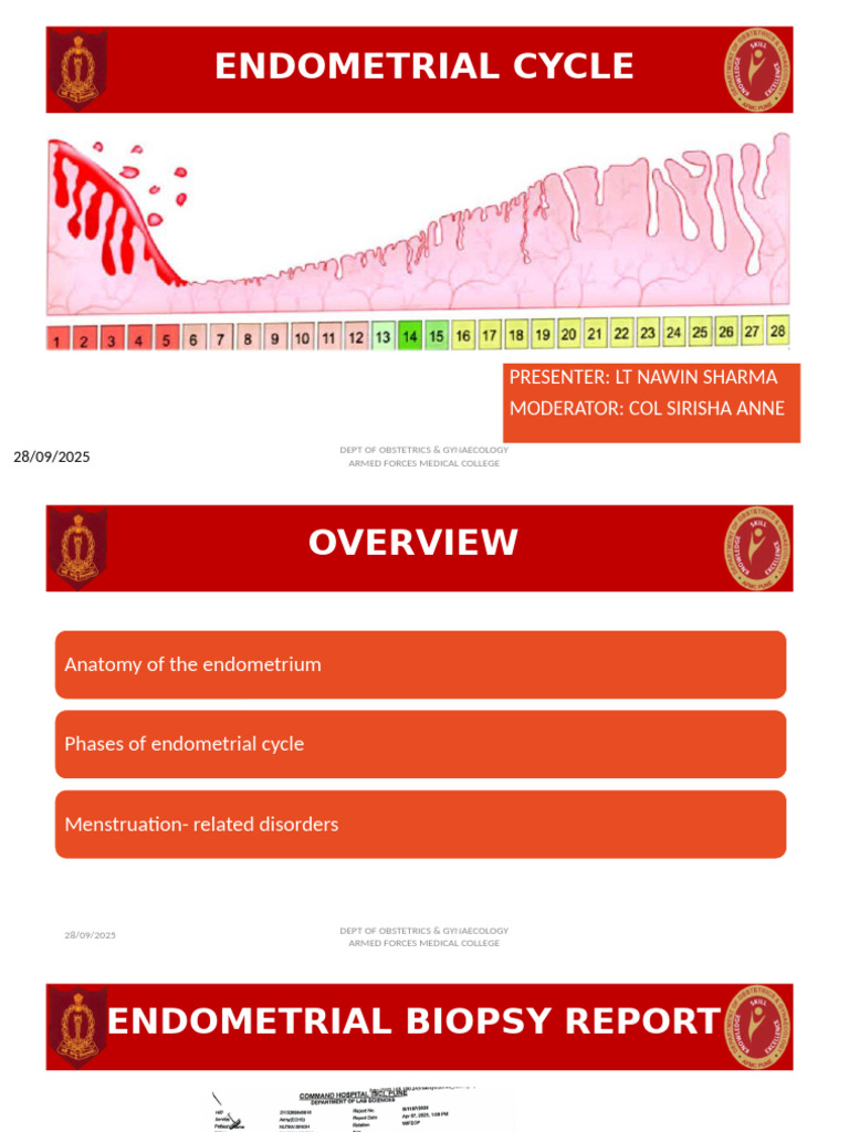 Menstrual Cycle - Endometrial Phase | PDF | Menstrual Cycle ...