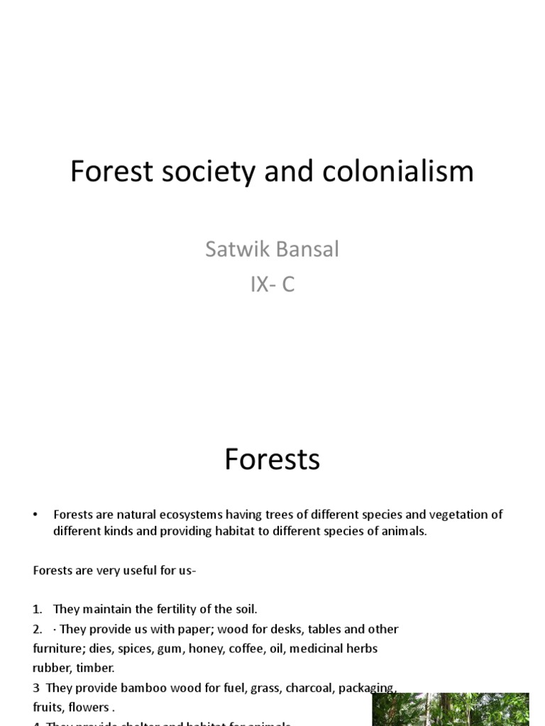 Forest Society and Colonialism Overview | PDF | Forestry | Forests