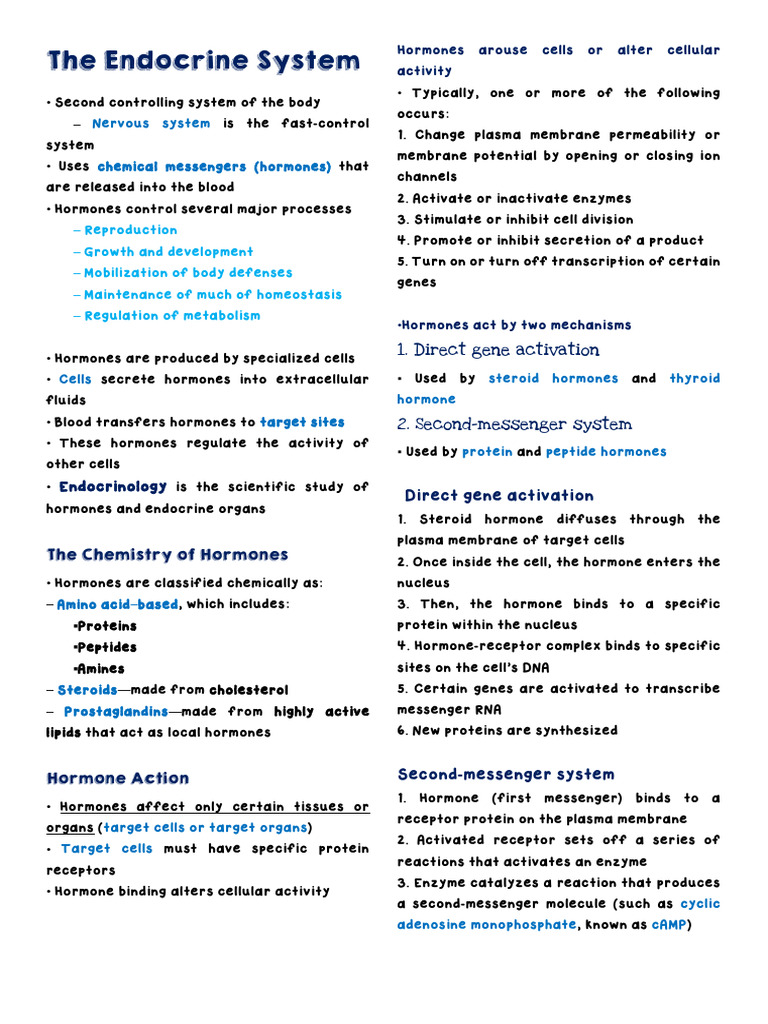 Understanding the Endocrine System | PDF | Hormone | Stimulus (Physiology)