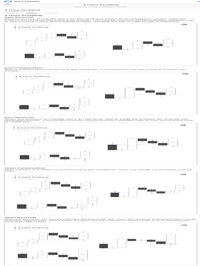 4 Hour Profiling | PDF