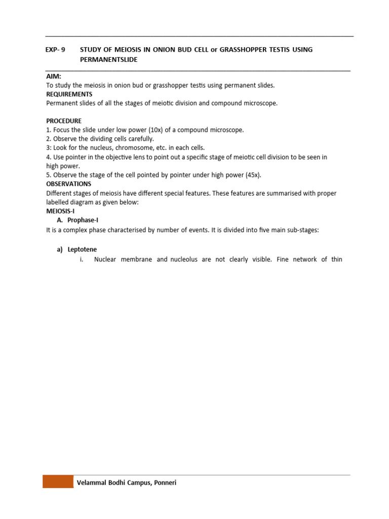 Meiosis Study in Grasshopper Testis | PDF | Meiosis | Chromosome