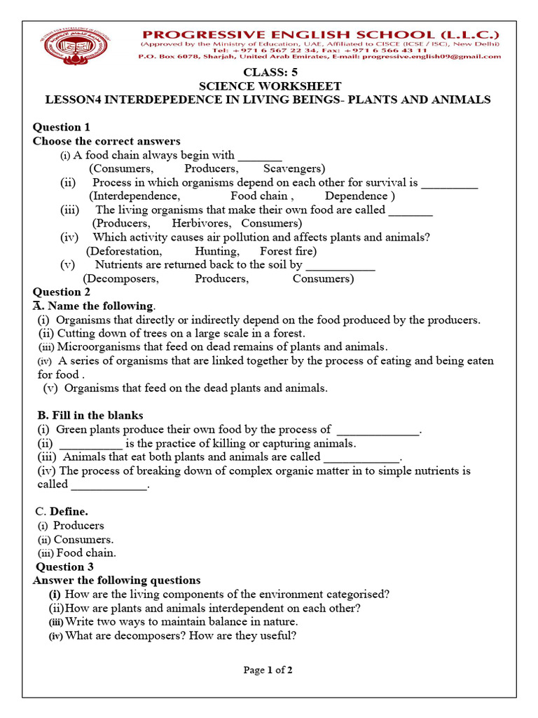 Interdependence of Plants and Animals | PDF | Foods | Plants