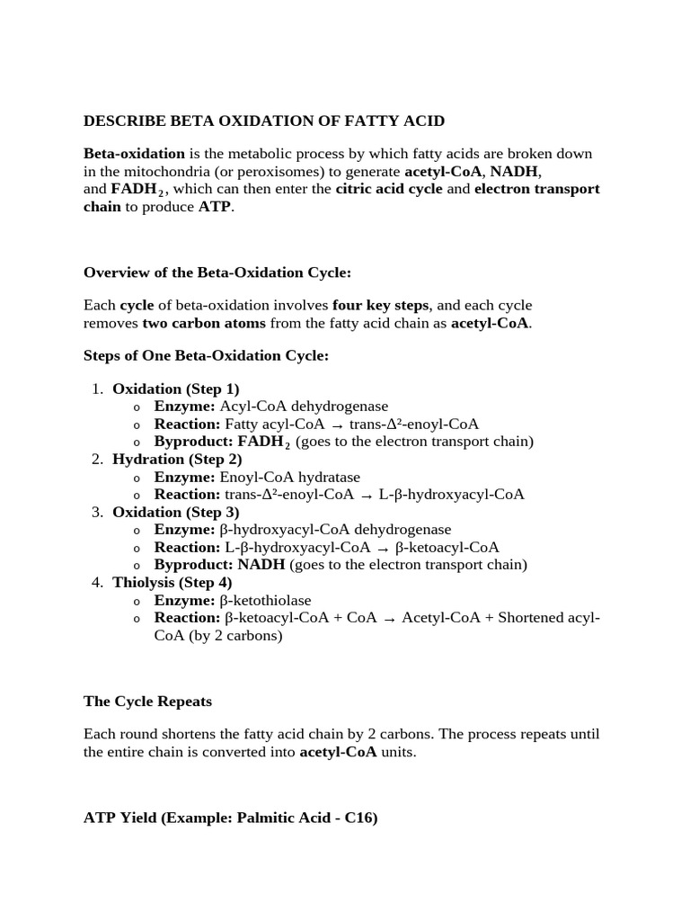Beta-Oxidation of Fatty Acids Explained | PDF | Biochemistry | Chemistry