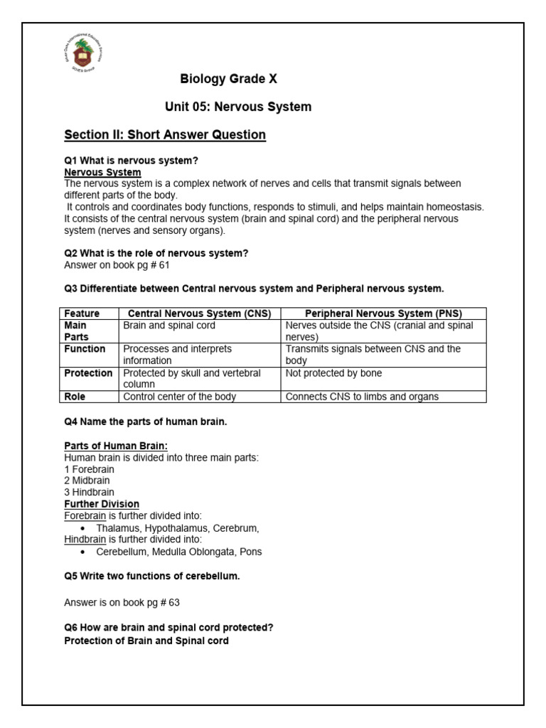 Nervous System Overview for Grade X Biology | PDF | Central Nervous ...