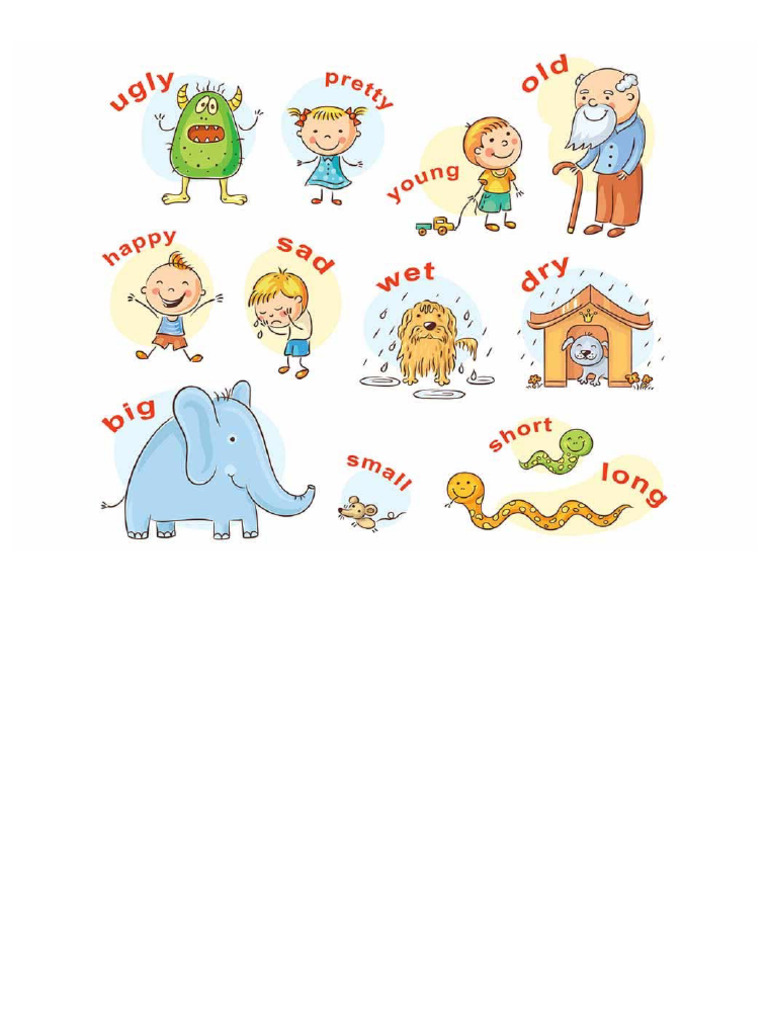 Adjectives Starters 2 | PDF