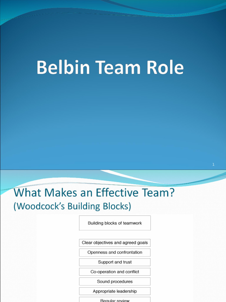 Belbin Team Role | PDF | Cognition | Psychology