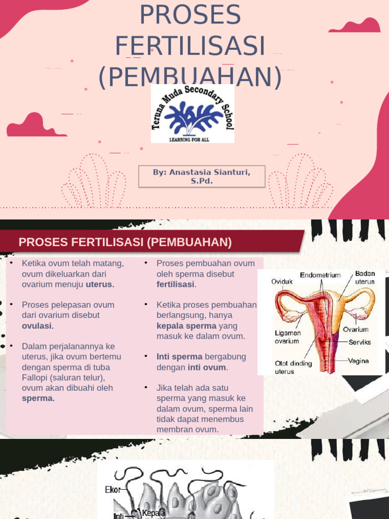 Bab 1. Sistem Reproduksi Manusia | PDF