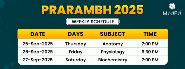 Weekly Schedule.pdf | PDF