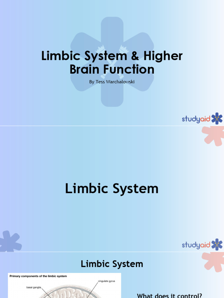 Limbic System and Brain Function Overview | PDF | Memory | Limbic System