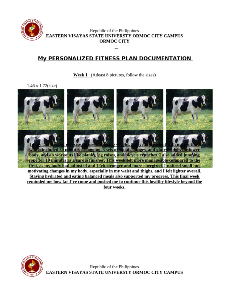 Documentation and Narrative | PDF
