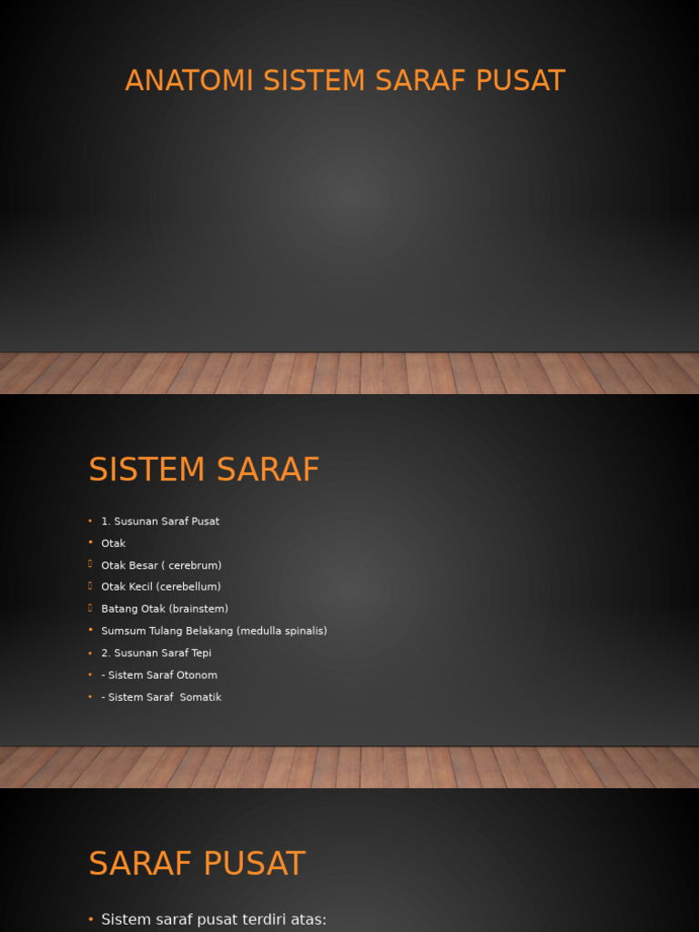 Anatomi Sistem Saraf Pusat | PDF