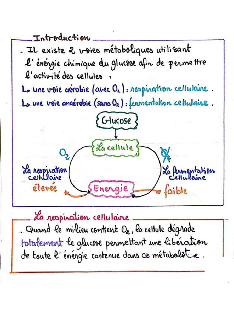 Atp | PDF