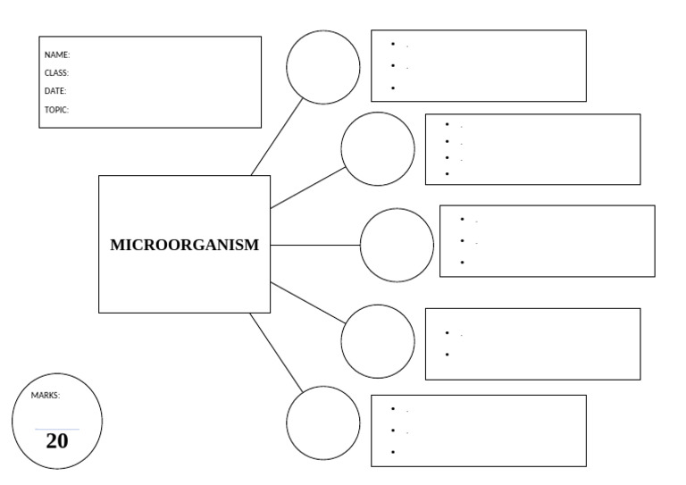 Microorganism Mind Maps | PDF