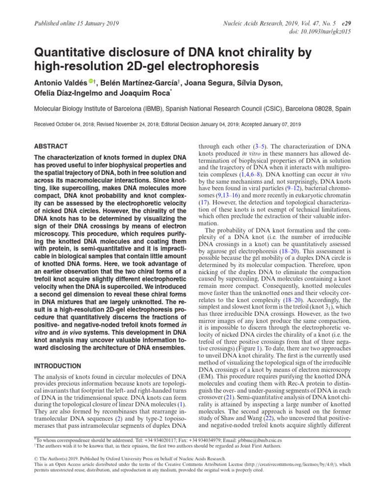 Quantitative Disclosure of DNA Knot Chirality by H | PDF | Agarose Gel ...
