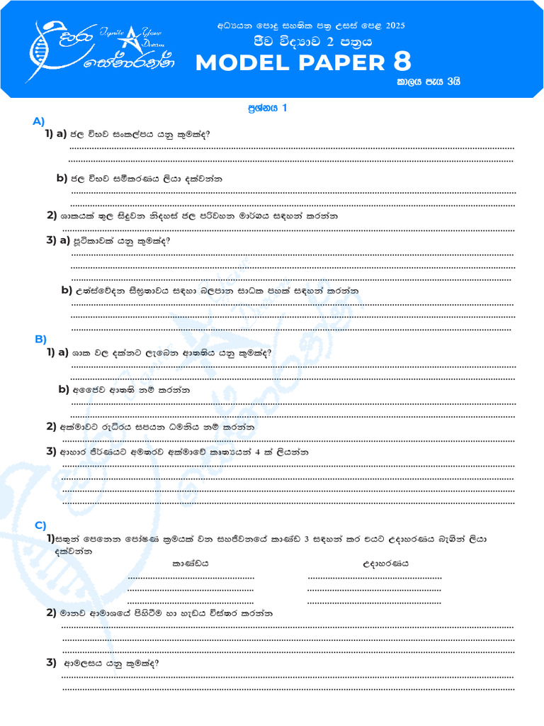 2025 Model Paper 08 Essay Paper | PDF