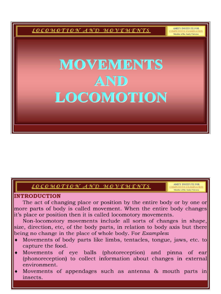 Movement and Locomotion Part 1 | PDF