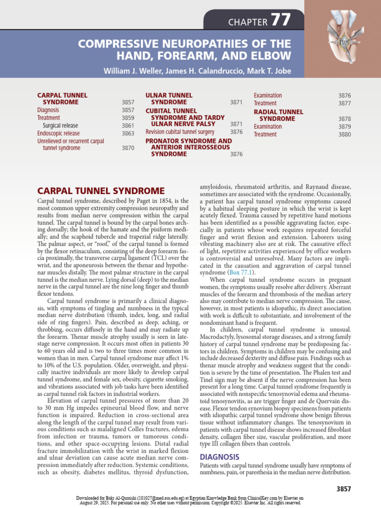 Compressive Neuropathies of The Hand, Forearm, and Elbow: Carpal Tunnel ...