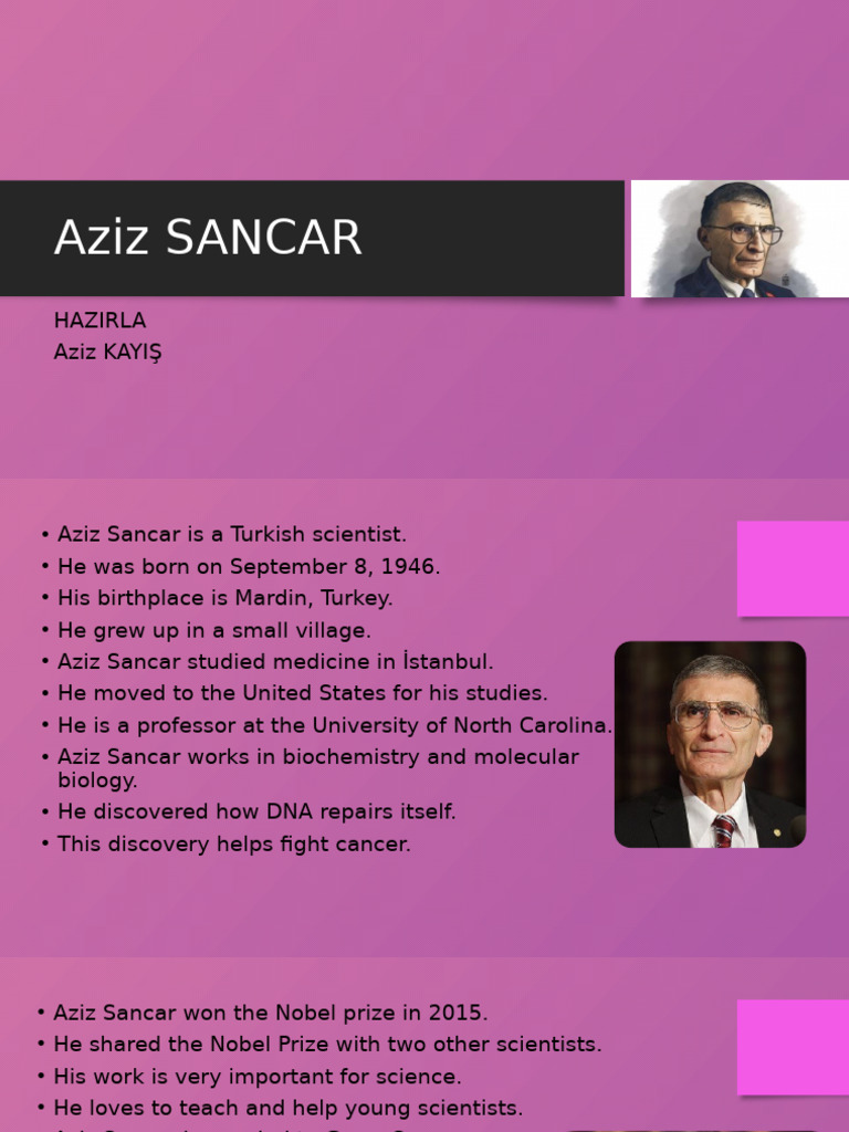 Ingilizce Slayt | PDF