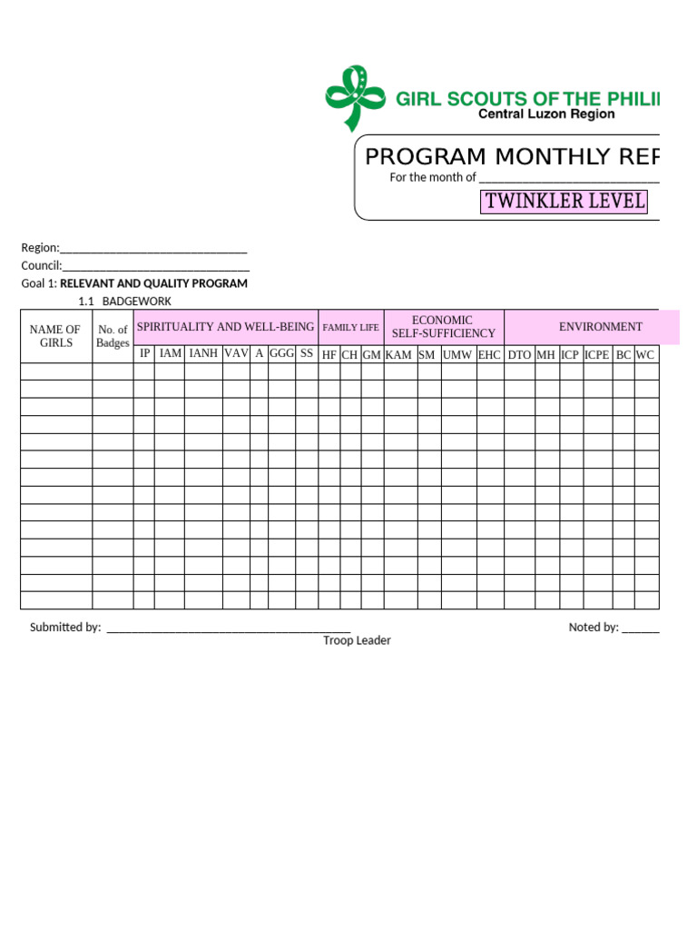 Monthly Program Report 5 Age Level | PDF