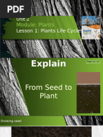 Gary The Dreamer | PDF