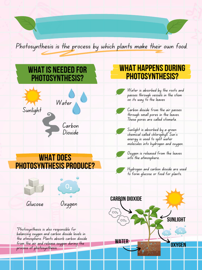 Light Blue and Green Nature Photosynthesis Science Poster | PDF