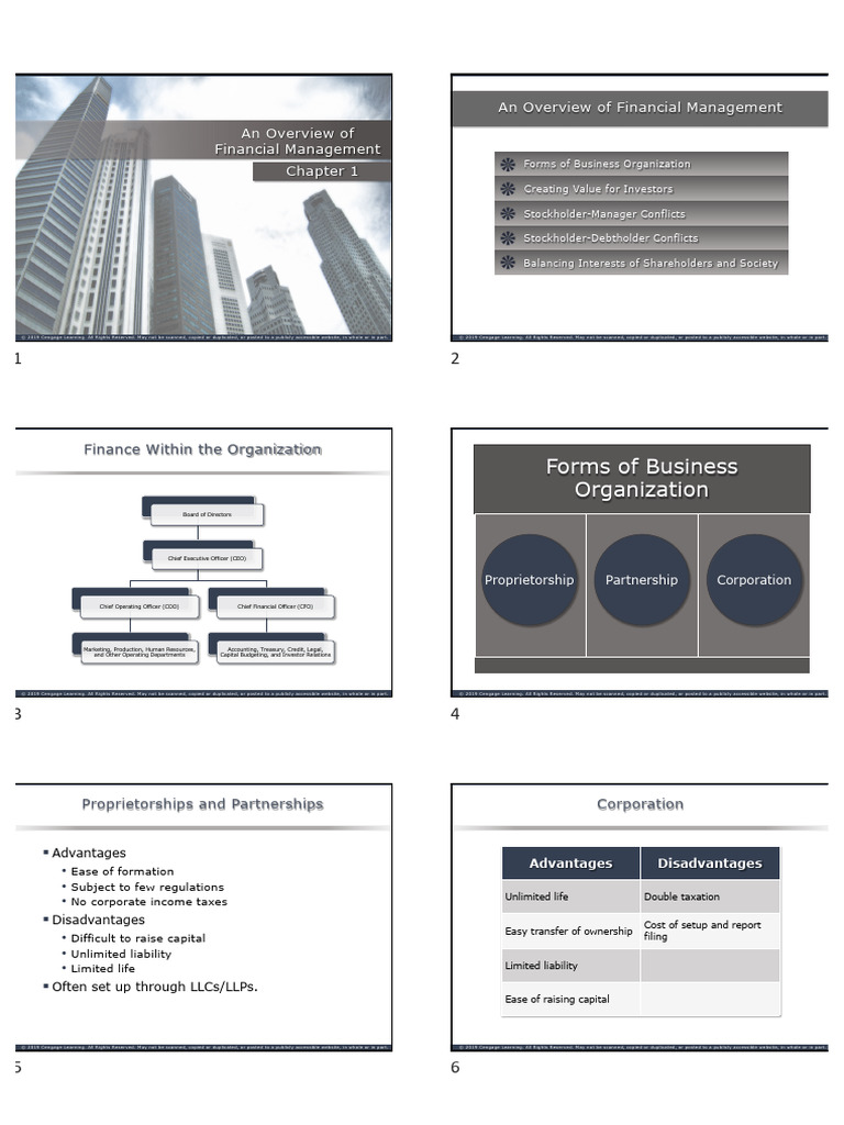 Chapter 01 - An Overview of Financial Management | PDF | Stocks | Bonds (Finance)