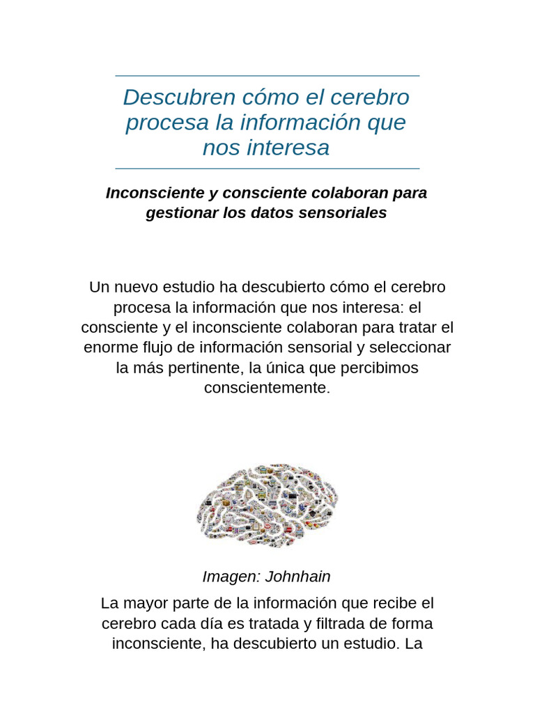 Descubren Cómo El Cerebro Procesa La Información Que Nos Interesa | PDF ...