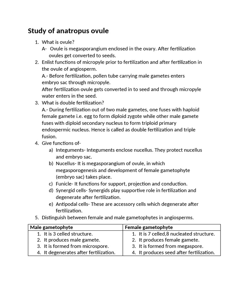 Anatropous Ovule and Female Gametophyte | PDF | Fertilisation ...